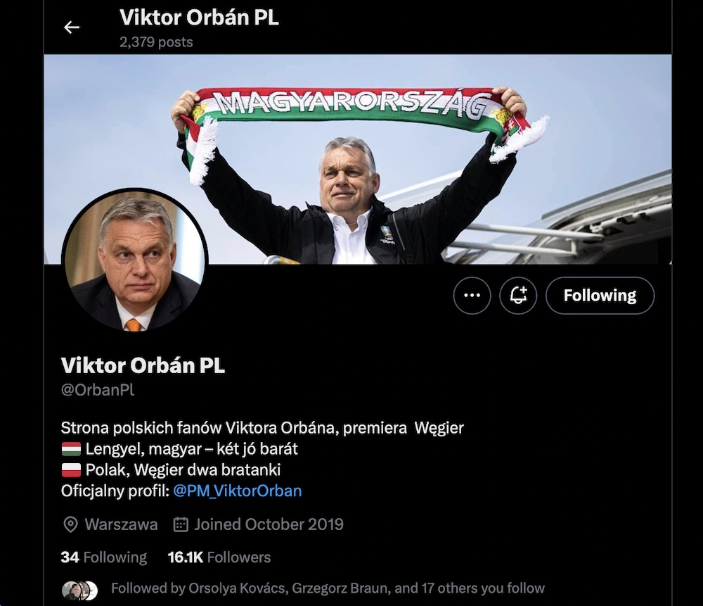 Największy fan Orbána. Między Węgrami a Rosją - FRONTSTORY.PL